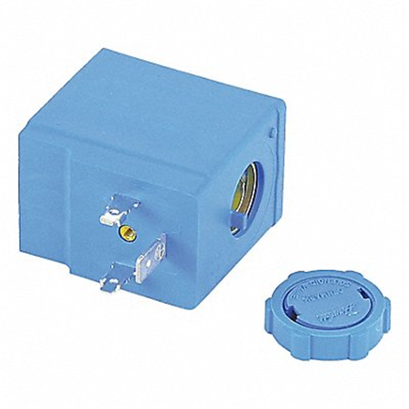 Coil 24VDC Din Connection 161J52